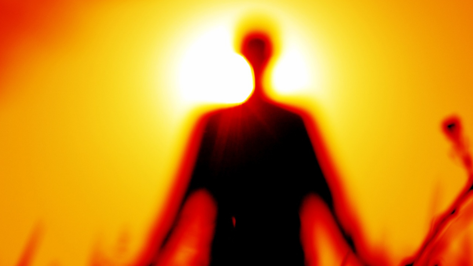 フロントエンドとバックエンド：二つをつなぐためのベストプラクティス | InsIDE ALpha Media